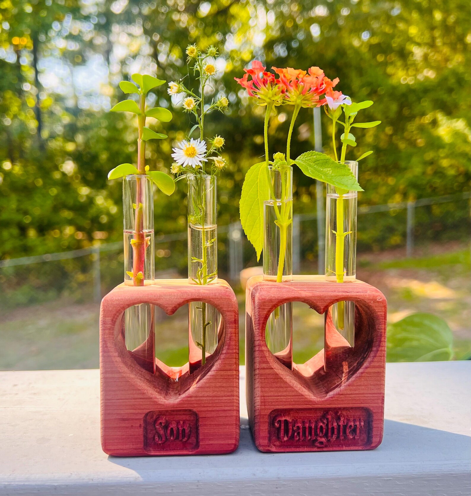 Wood Plant Station/ Plant Propagation/ Solid Wood Propagation - Etsy