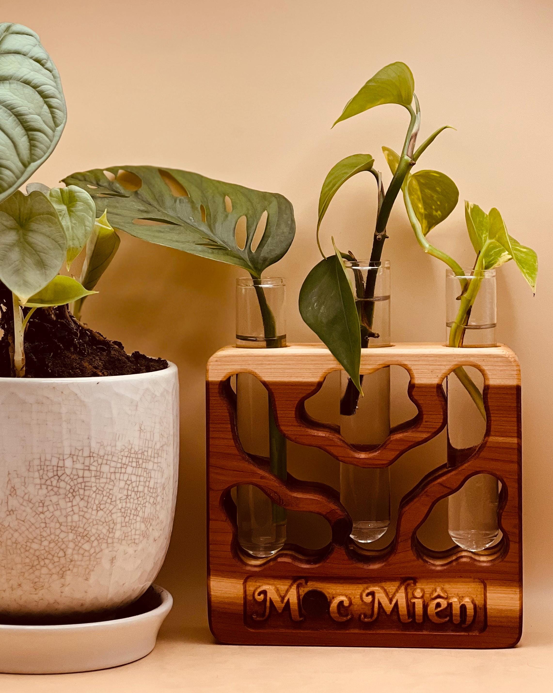 Cedar Wood Plant Propagation Station: Triple Glass Tubes, Home Decor - Etsy