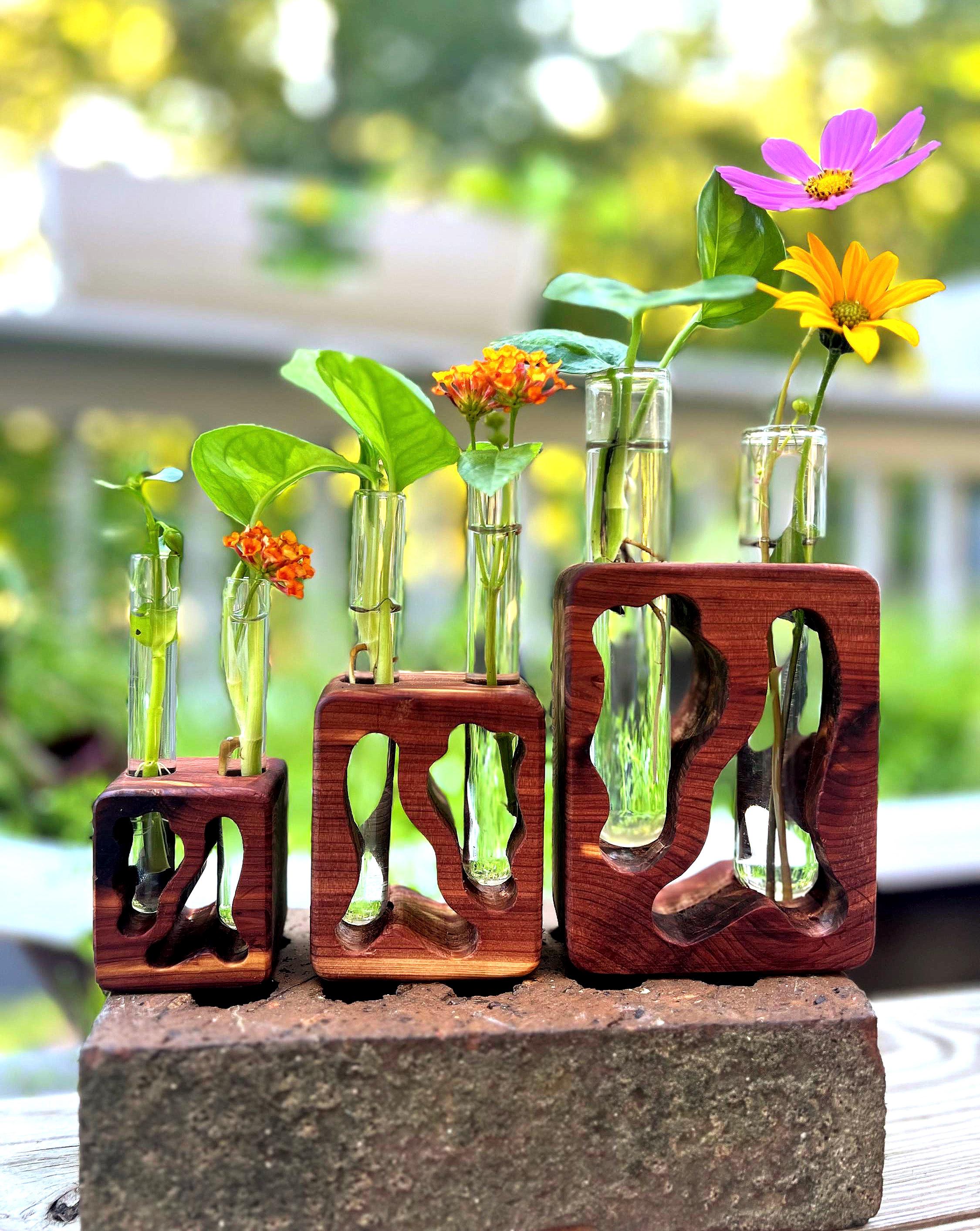 Handmade Cedar Wood Plant Propagation Station With Glass Tubes - Etsy