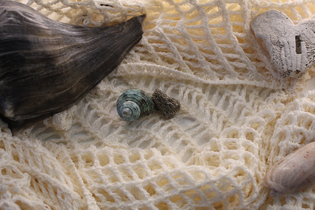 Money Manifesting Pyrite Seashell Hairclip - Etsy