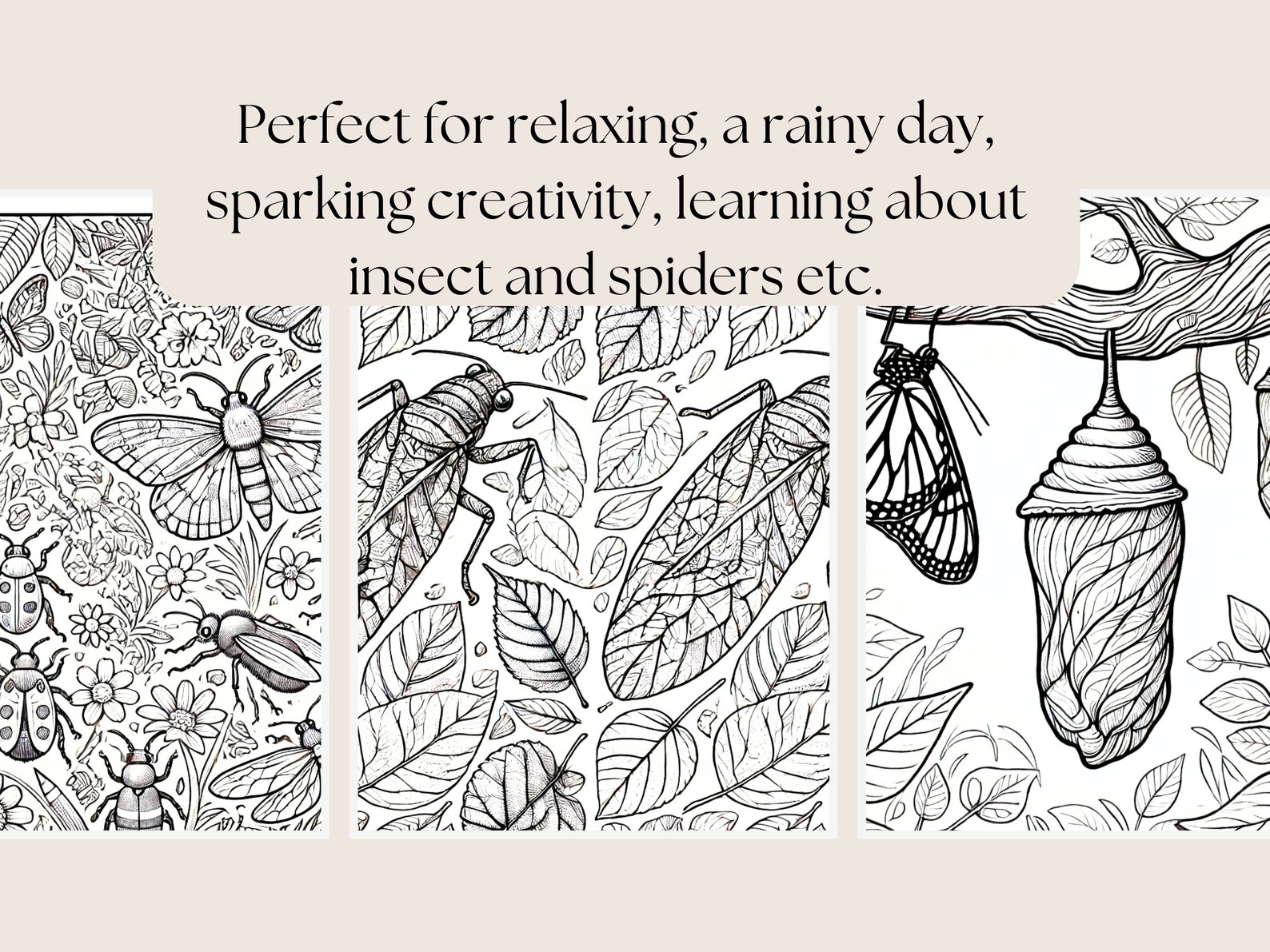 25 Bugs and Spiders Coloring Pages for Kids Educational Activity ...