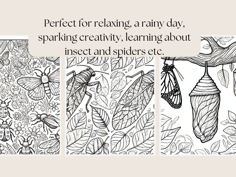 25 Bugs and Spiders Coloring Pages for Kids Educational Activity ...