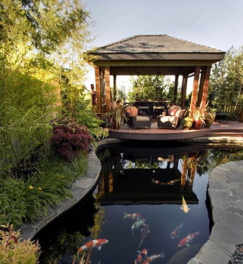 Custom Koi Pond Design Service - Complete Personalised Design Just for ...