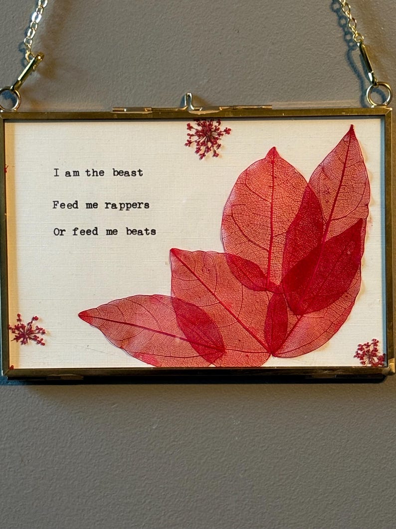 Lil Wayne Fan Art, Wall Hanging, Rap Art, Pressed Flowers, Home Decor ...