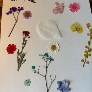 Rap Fan Art, Wall Hanging, Pressed Flowers, Home Decor, Rap, Hip Hop ...