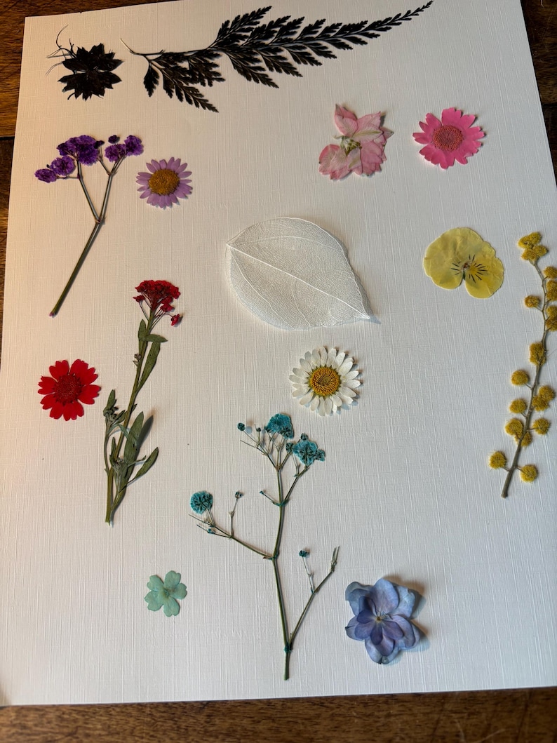 The Beatles Fan Art, Blackbird Fan Art, Wall Hanging, Pressed Flowers ...