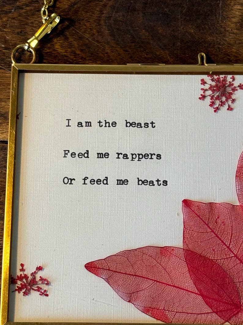 Lil Wayne Fan Art, Wall Hanging, Rap Art, Pressed Flowers, Home Decor ...