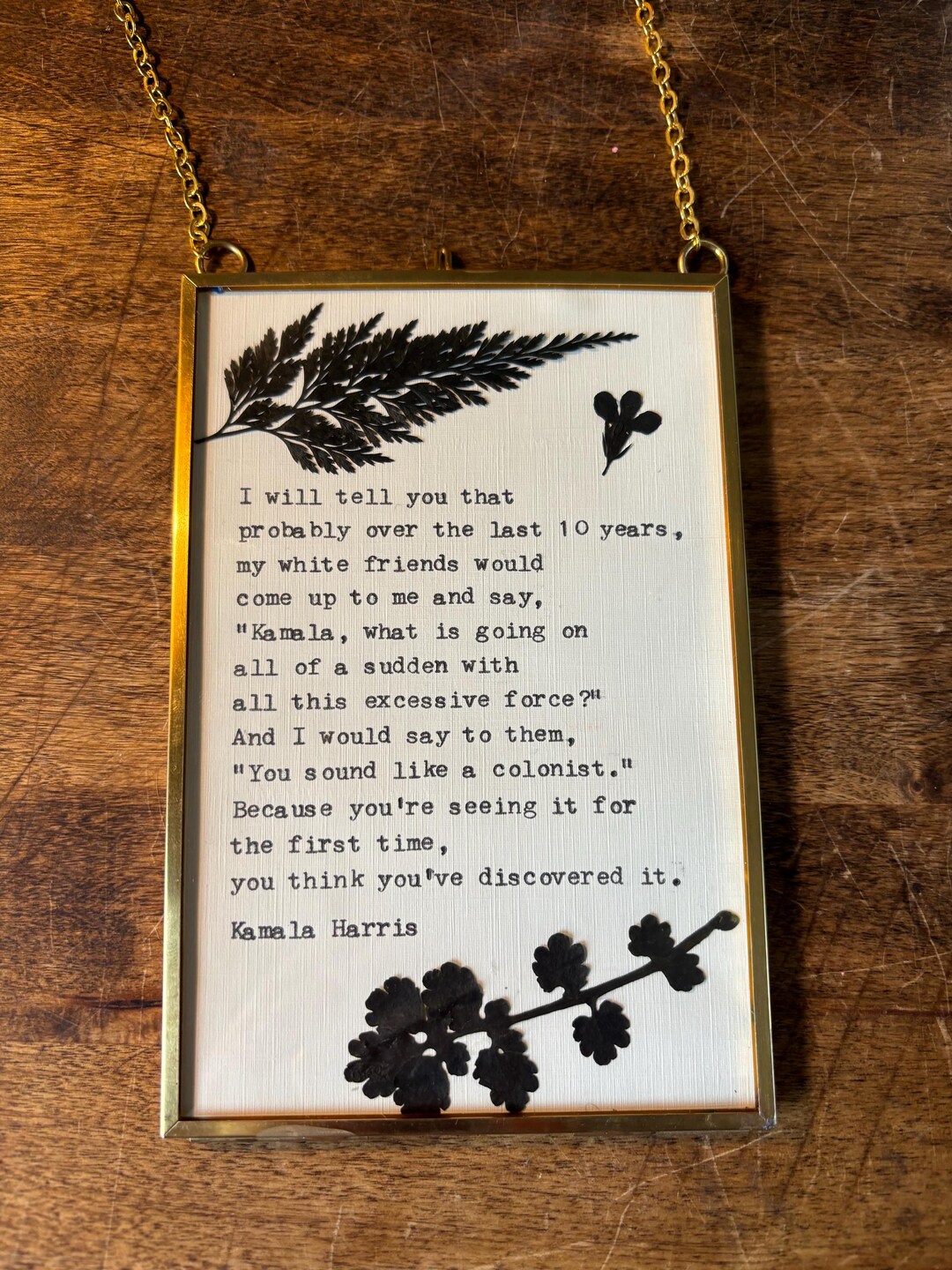 Kamala Harris, Coconut Tree, Gifts for Her, Gifts for Him, President ...