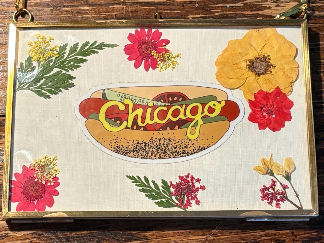 Chicago Style Hot Dog , Pop Culture Art, Mustarrd, Unique Wall Hanging ...