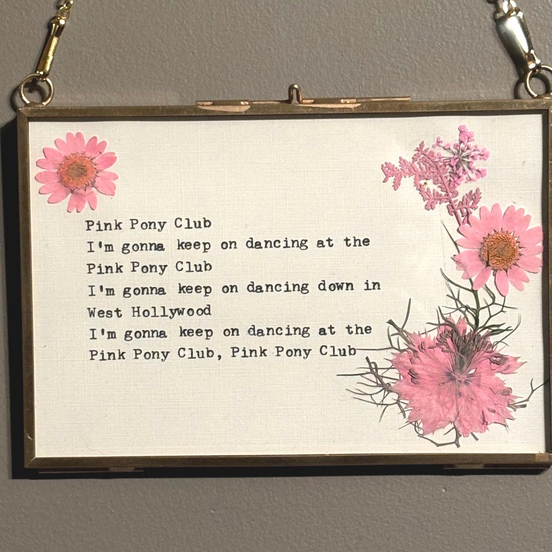 Chappell Roan Fan Art,wall Hanging, Pink Pony Club, Pressed Flowers, Home Decor, Rise and Fall ...