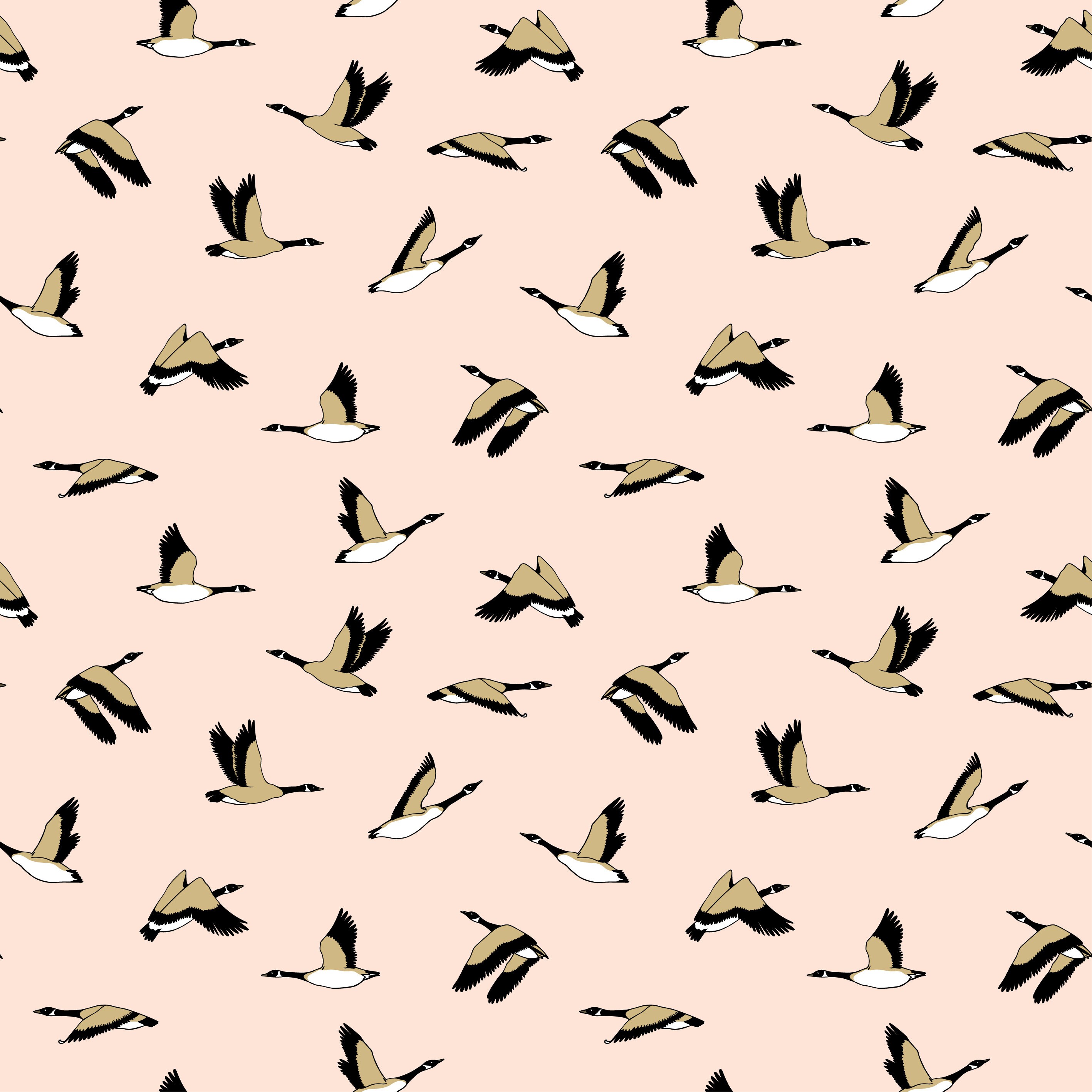 Elegant Flying Geese Wallpaper,geese in Flight Wallpaper,flying Geese ...