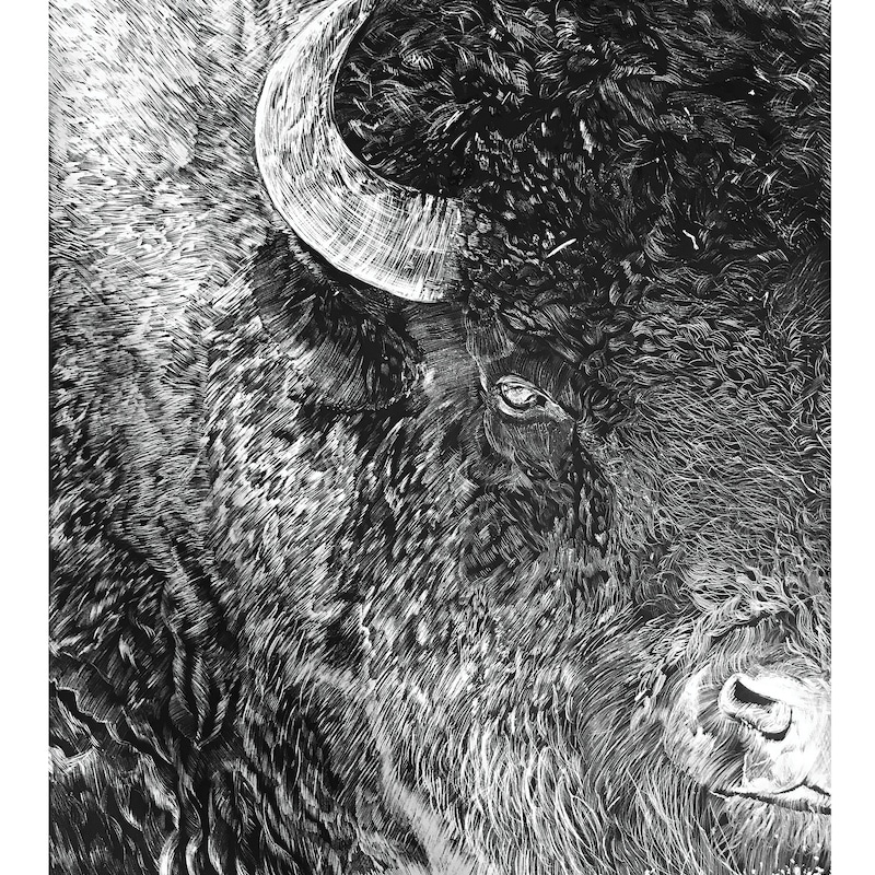 Scratchboard Animal Art - Etsy