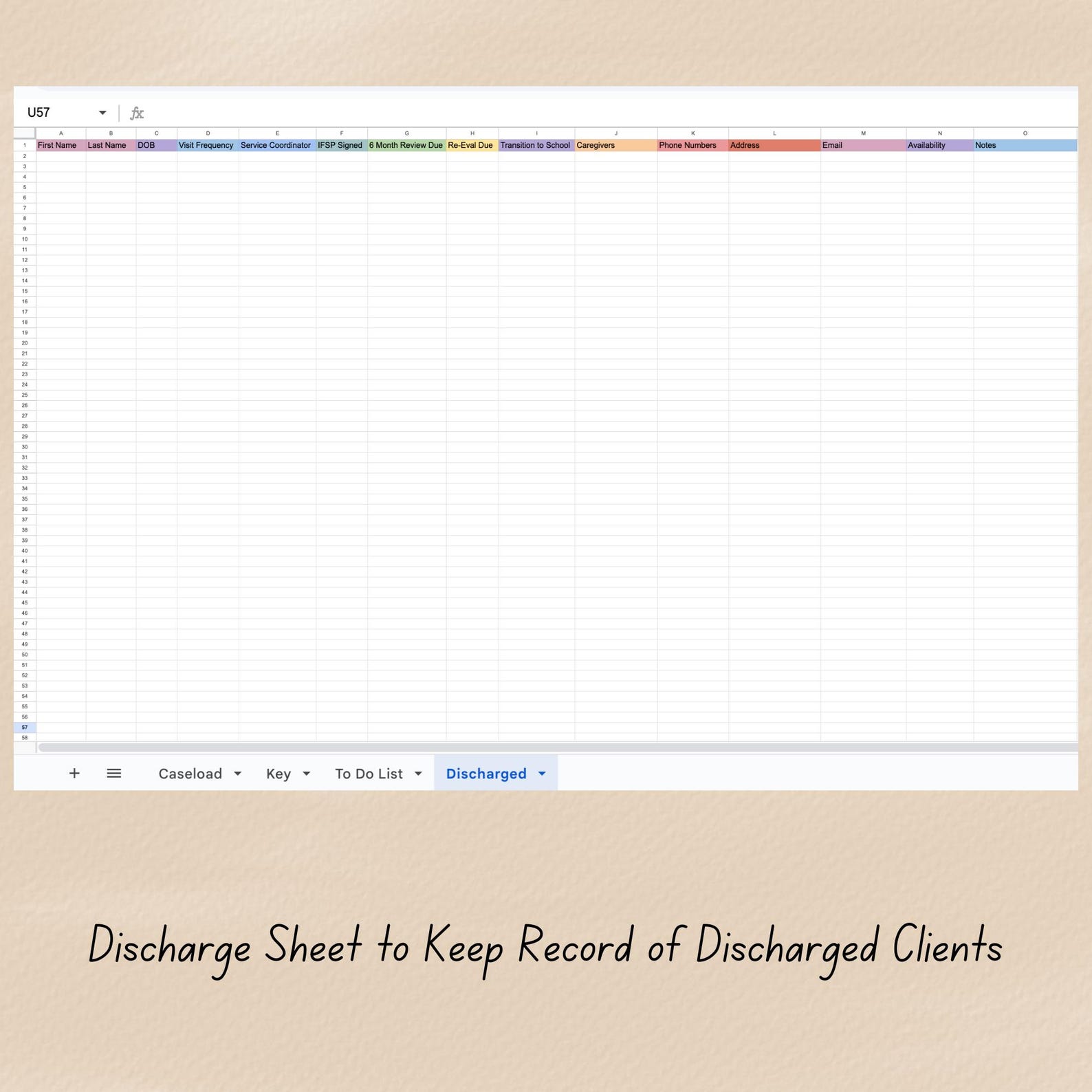Simple Editable Caseload Organizer/manager Google Spreadsheet Template ...