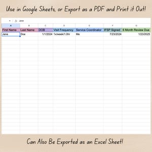 Simple Editable Caseload Organizer/manager Google Spreadsheet Template ...