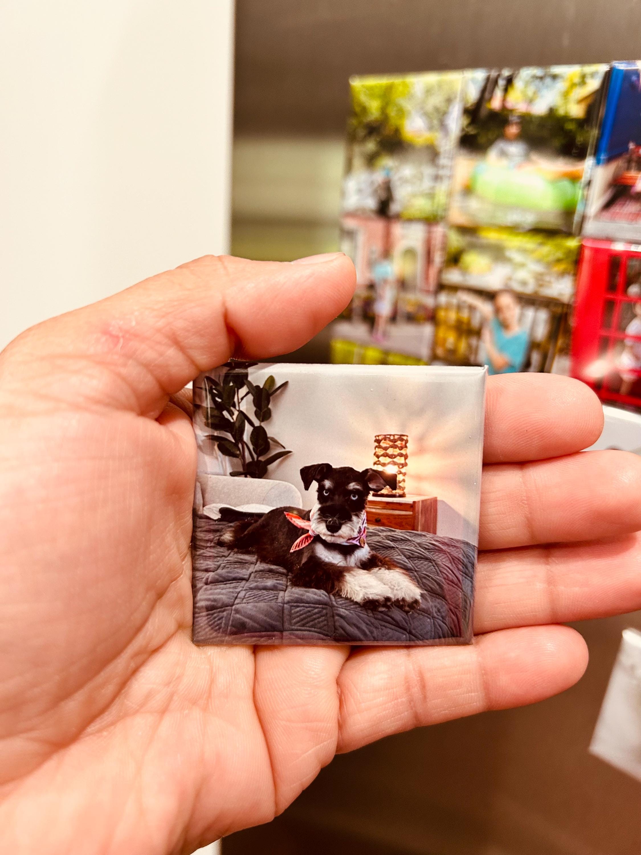 Custom Photo Magnets, Square Photo Magnets, Personalized Photo Magnets ...