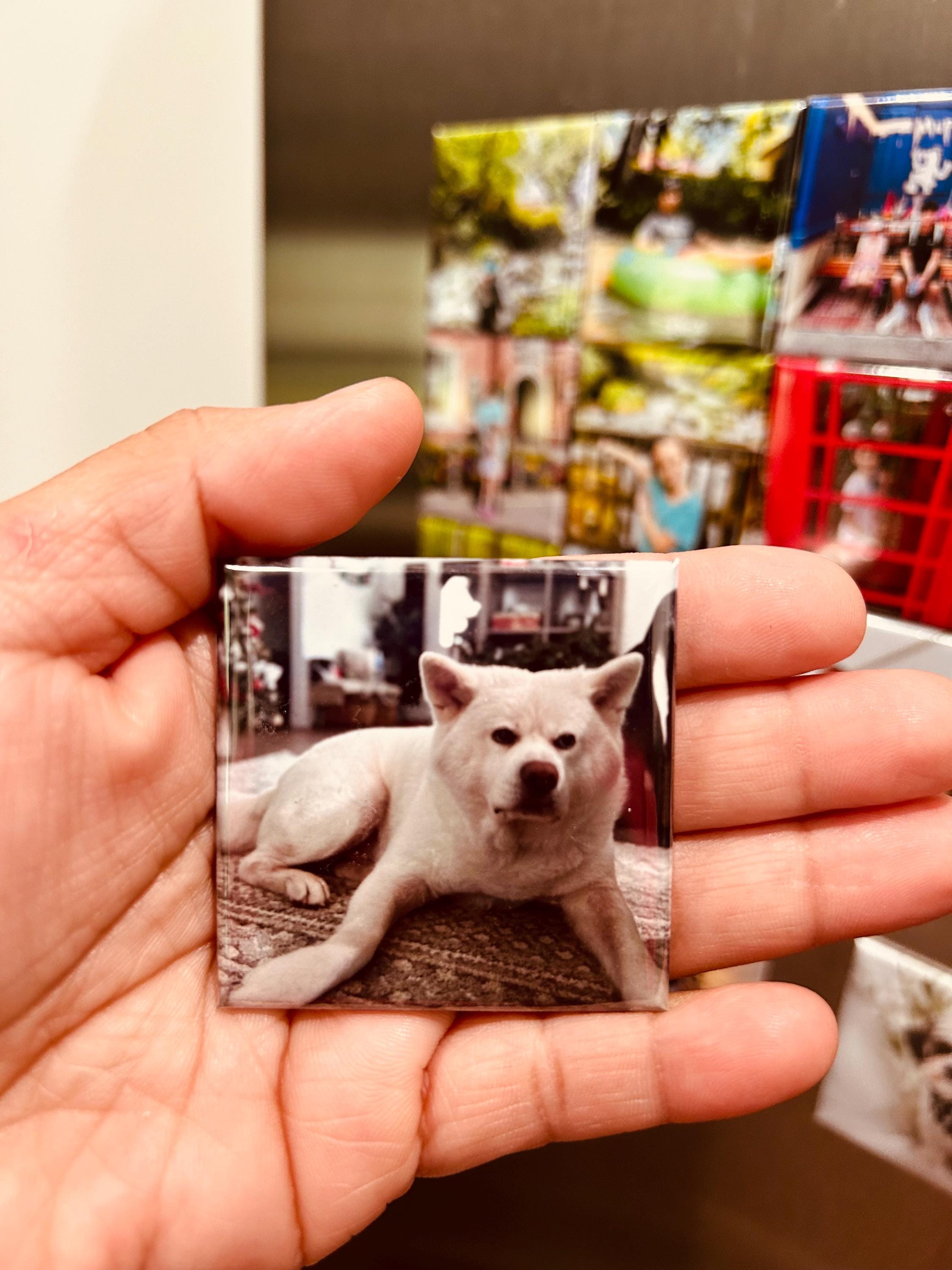 Custom Photo Magnets, Square Photo Magnets, Personalized Photo Magnets ...