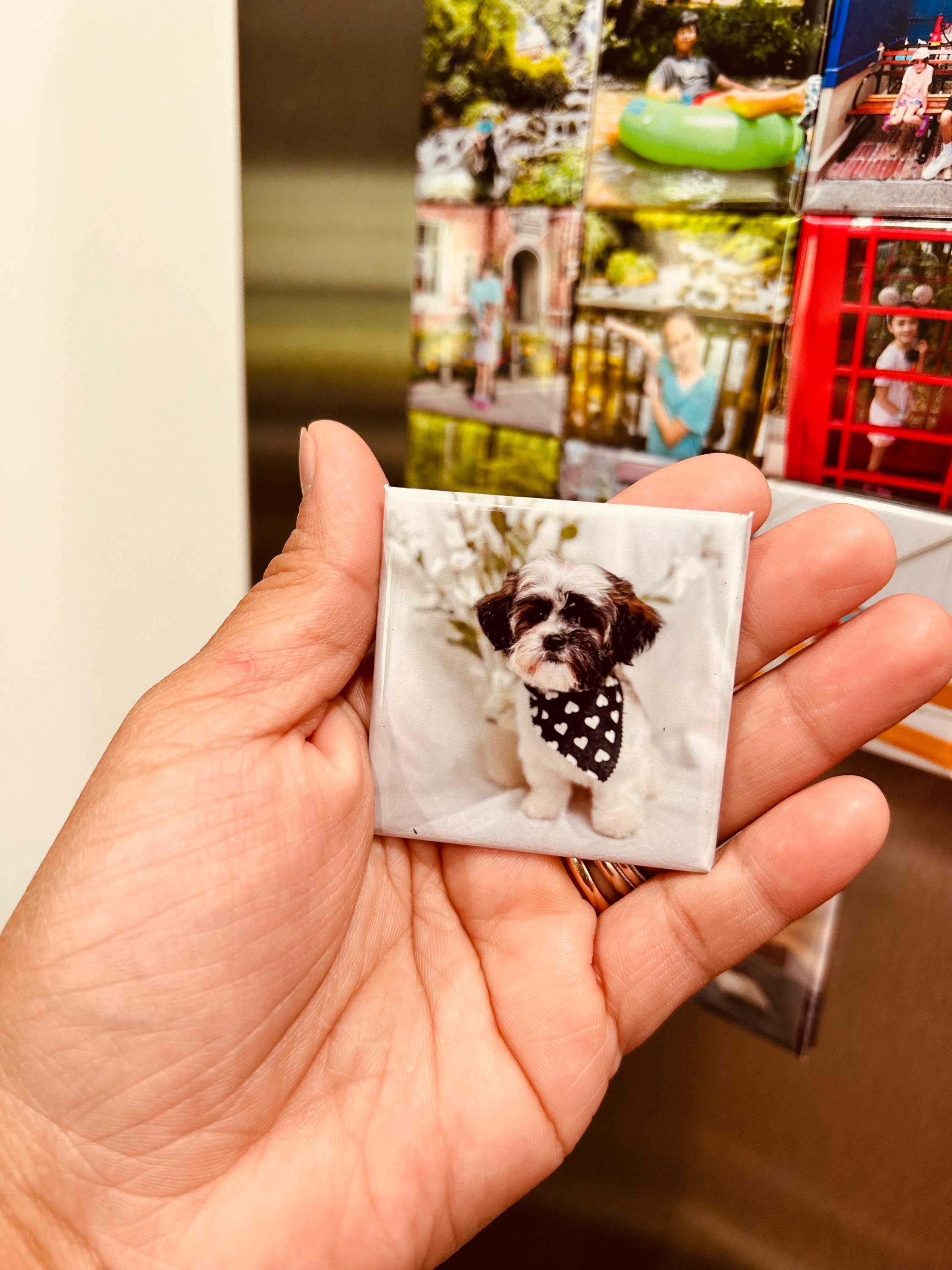 Custom Photo Magnets, Square Photo Magnets, Personalized Photo Magnets ...