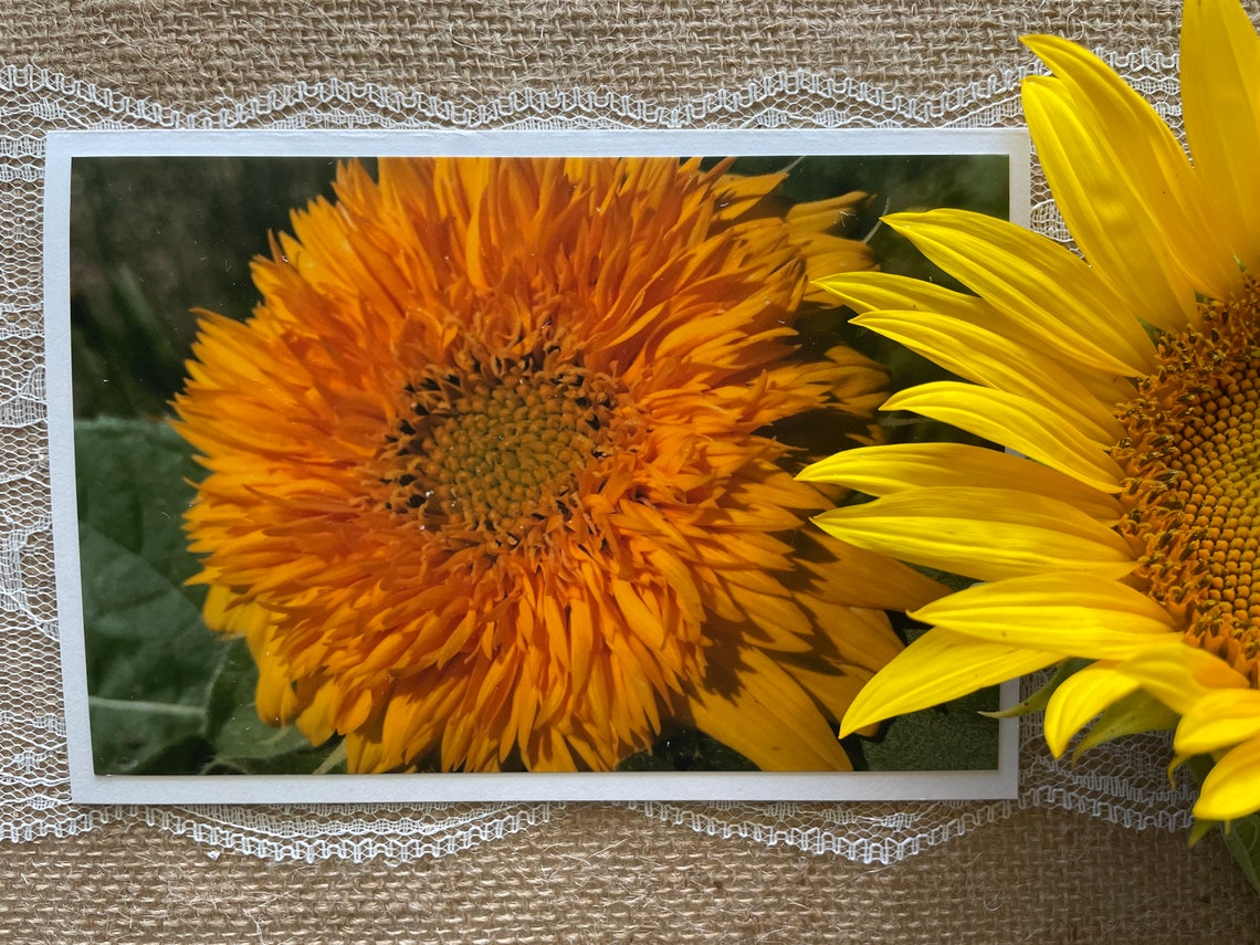 6 SUNFLOWER Note Cards With Envelopes Greeting Cards Blank Note Card ...