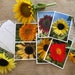 6 SUNFLOWER Note Cards With Envelopes Greeting Cards Blank Note Card ...