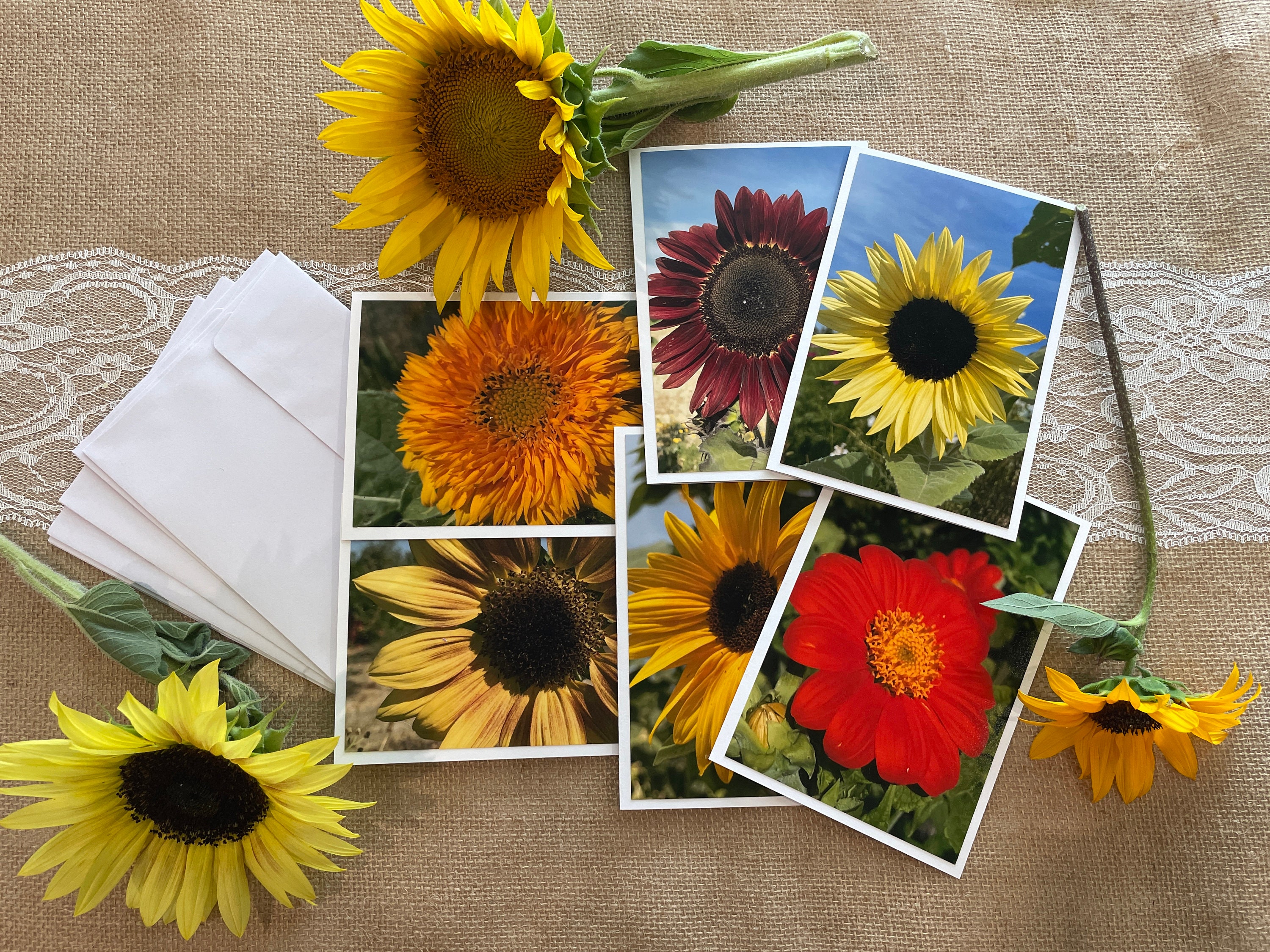 6 SUNFLOWER Note Cards With Envelopes Greeting Cards Blank Note Card ...