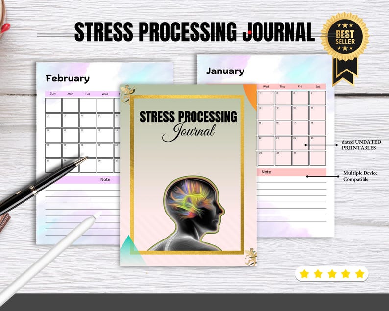 Stress Processing Journal, Mental Health Journal, Stress Relief Notebook, Self-care Diary ...