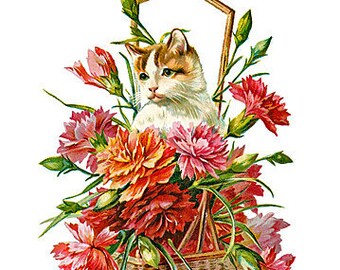 Crazy cat fabric | Etsy