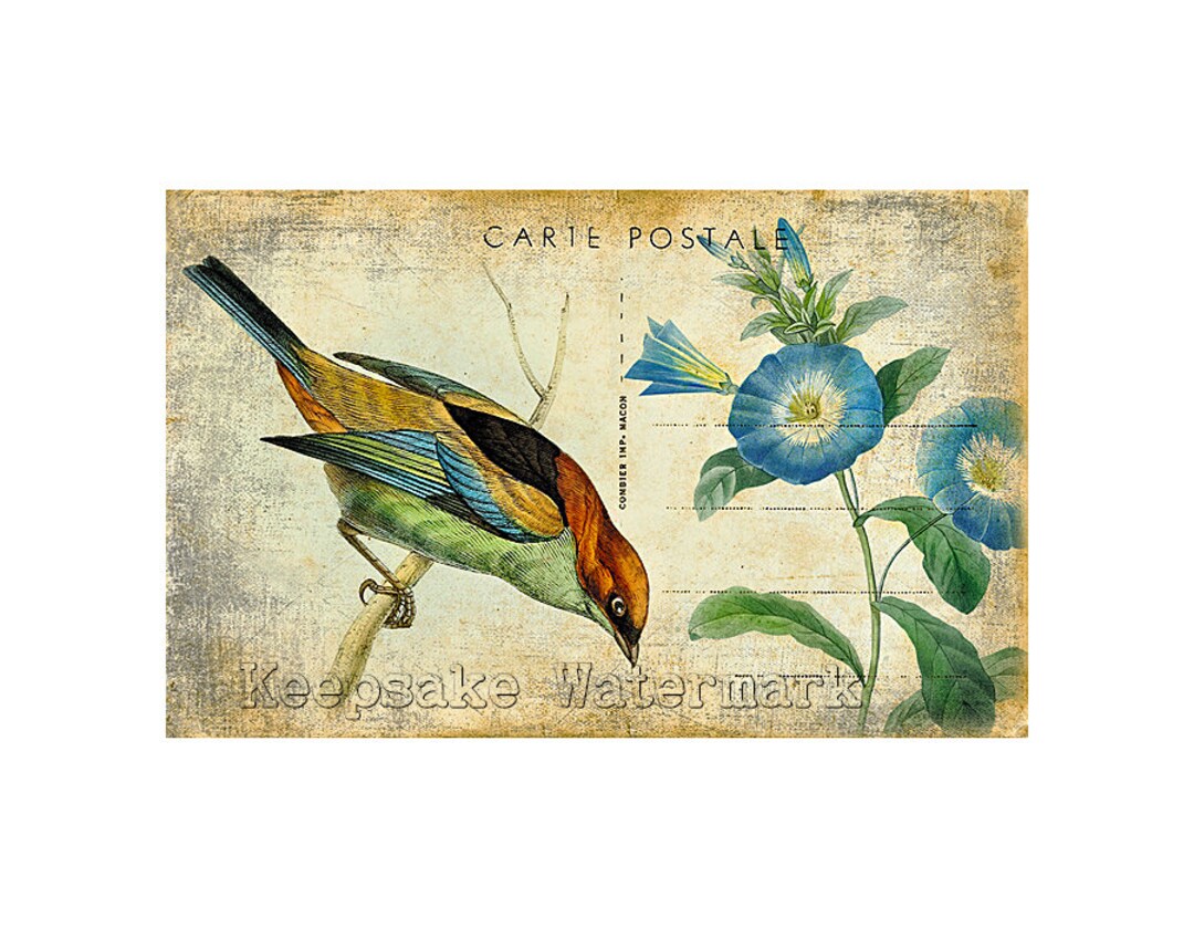 Bird Collage Art Fabric Crazy Quilt Block Quilting Sewing Crafting (14A ...