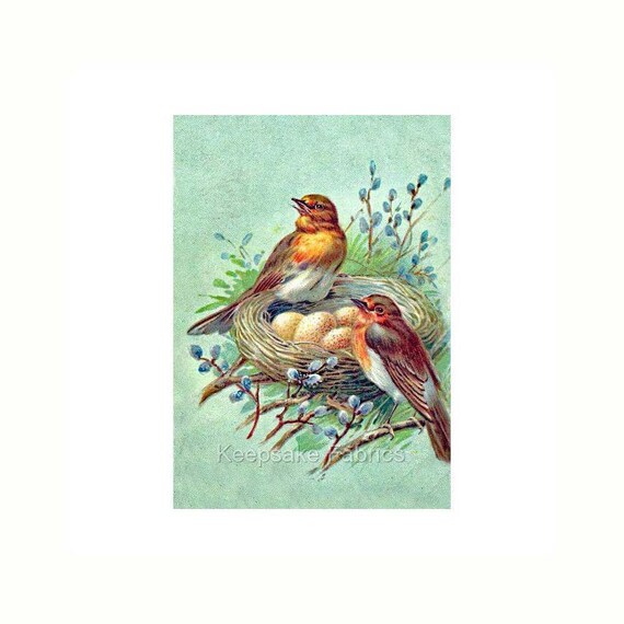 Birds Protect Nest Reproduction Fabric Crazy Quilt Block Free - Etsy