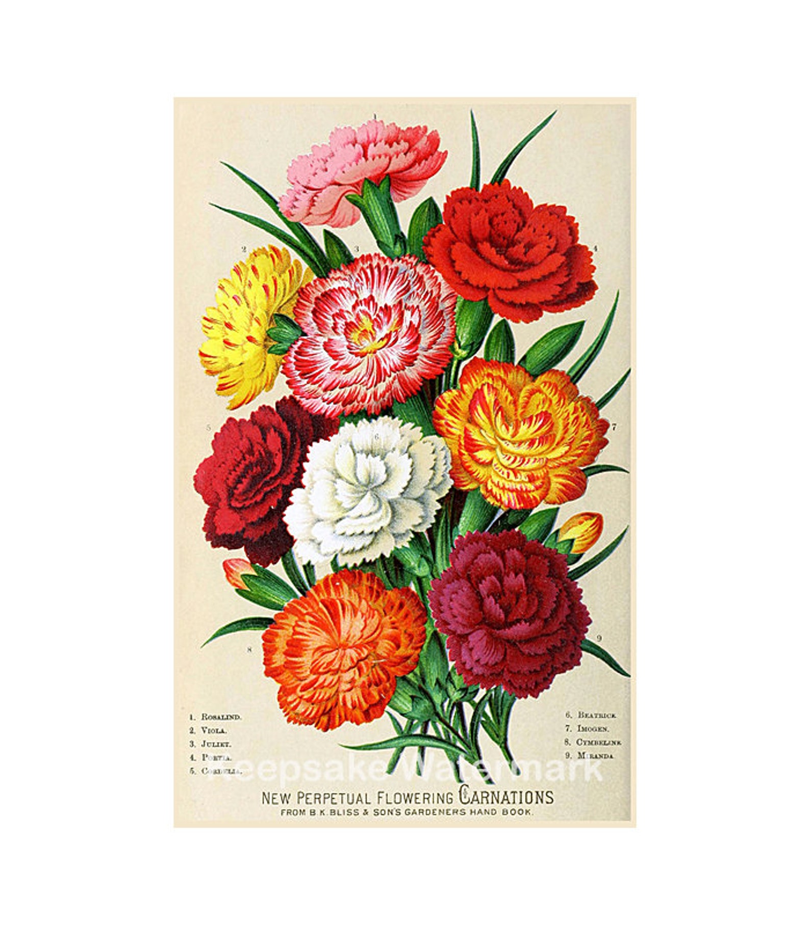 Fabric Block Carnation Flowers Seed Packet Free Shipping (832B - Etsy