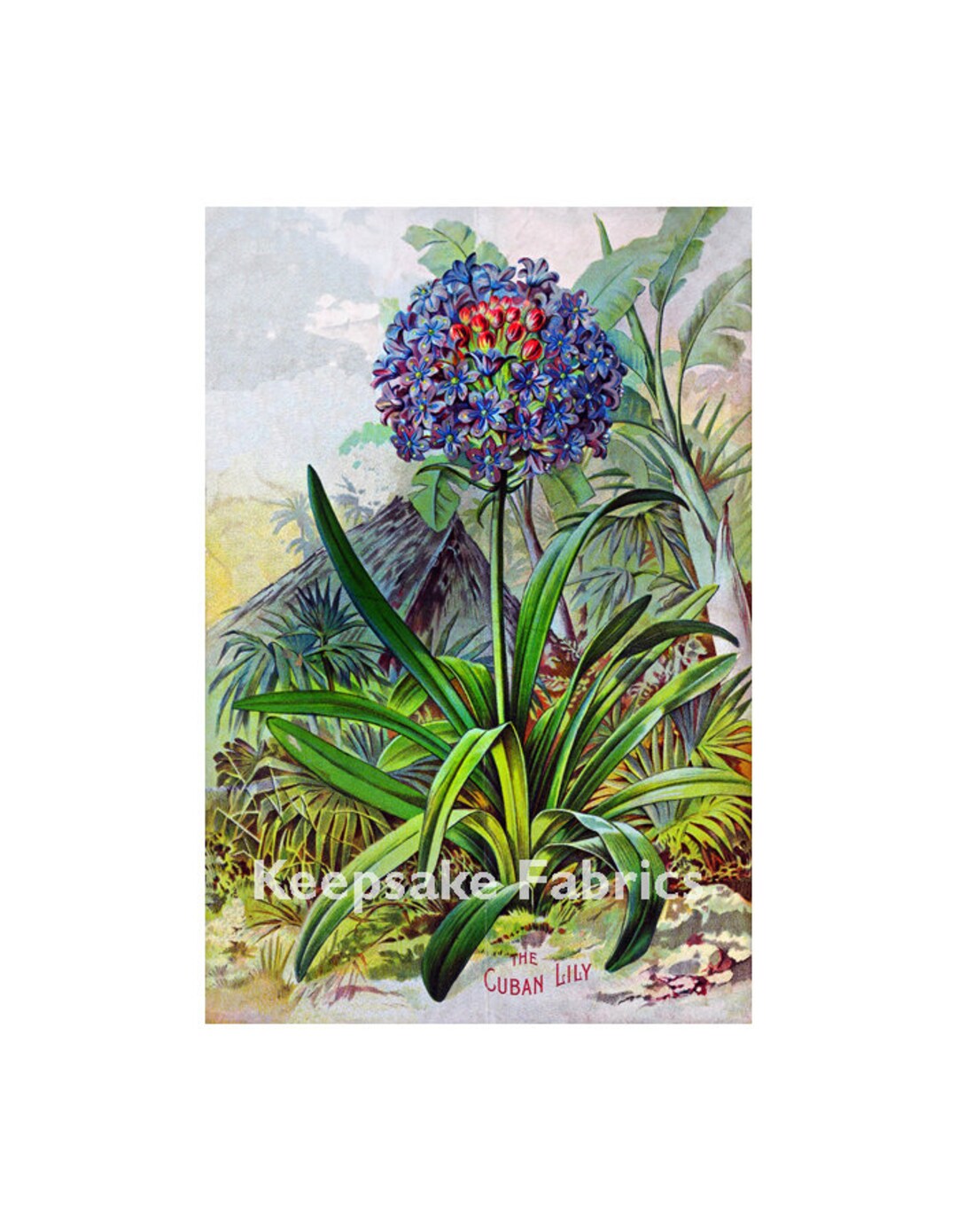 Beautiful Lily Vintage Seed Packet Art Fabric Crazy Quilt Block ...