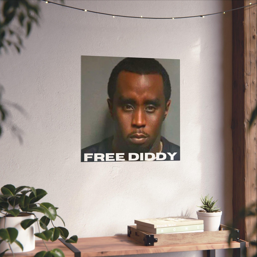 FREE DIDDY Matte Vertical Wall Poster | Diddy | Free Diddy | Diddy ...