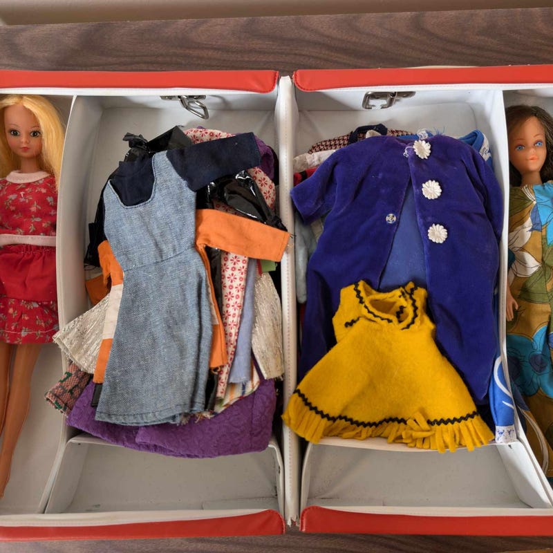 Vintage Barbie Case - Etsy