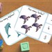 Educational Sea Animal Counting Peg Flashcards 1 to 10, Homeschooling ...
