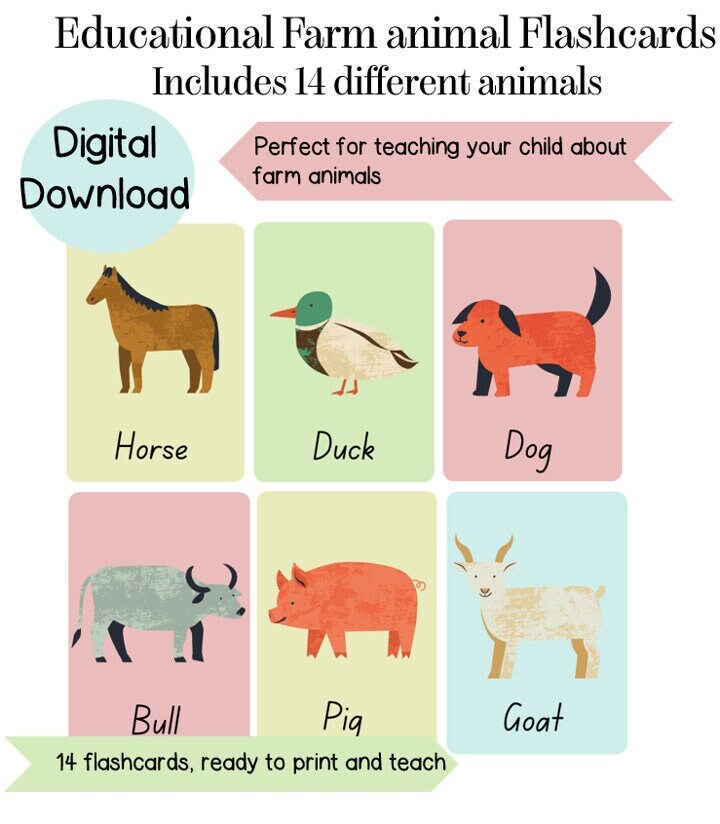 14 Educational Farm Animal Flashcards, Perfect for Homeschooling ...