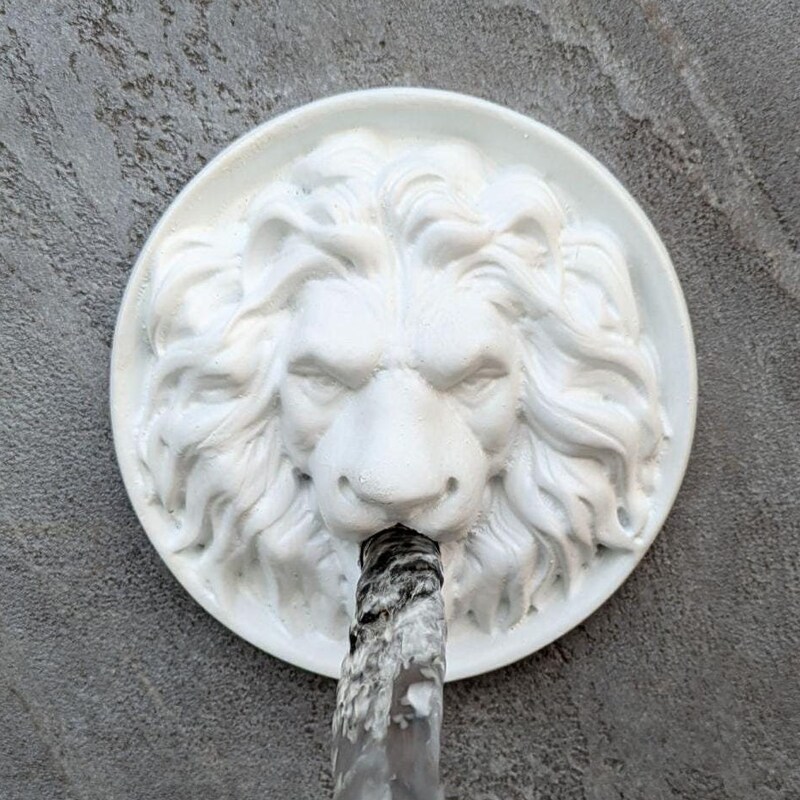 Lion Head Pool - Etsy