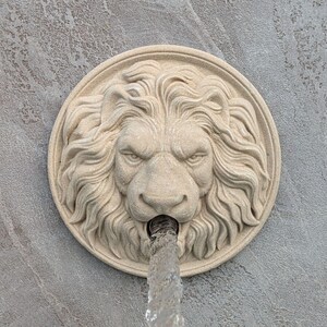 Lion Head Water Spout 8'' Water Feature for Pool Lion Head Water ...