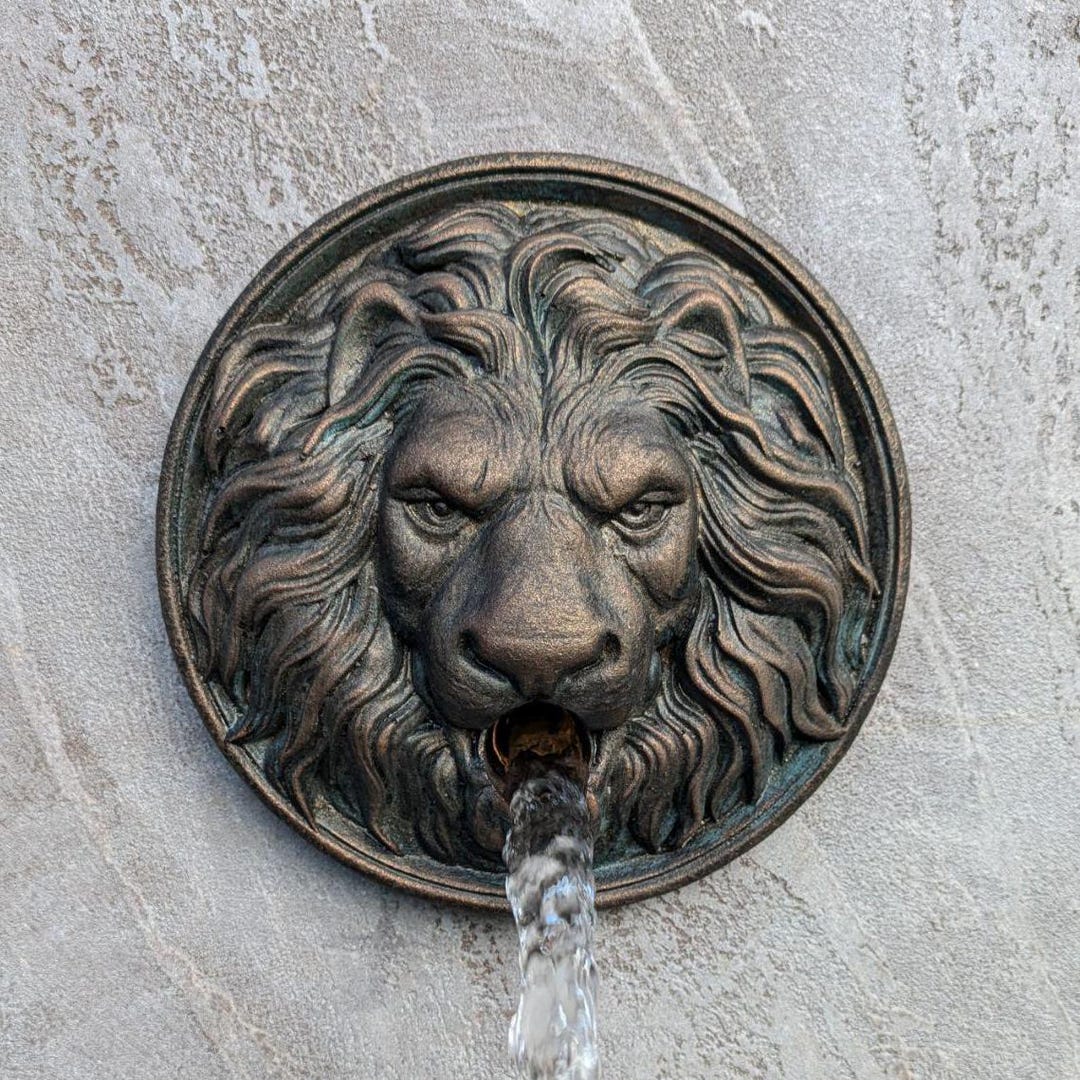 Lion Head Water Spout 8 Inch Water Feature for Pool Wall Fountain Lion ...