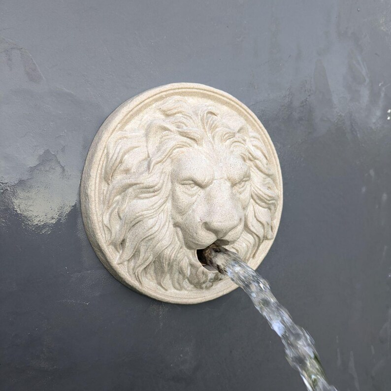 Water Spout Lion Head 8'' Water Feature for Pool Wall Fountain Lion ...