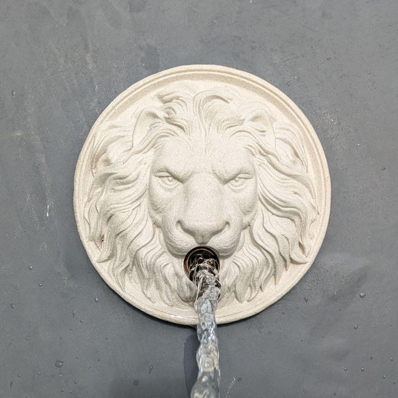 Water Spout Lion Head 8'' Water Feature for Pool Wall Fountain Lion ...