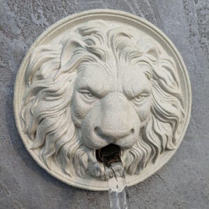 Lion Head Water Spout Water Feature for Pool Lion Head Water Spitter ...