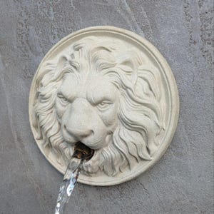 Lion Head Water Spout 8'' Water Feature for Pool Lion Head Water ...