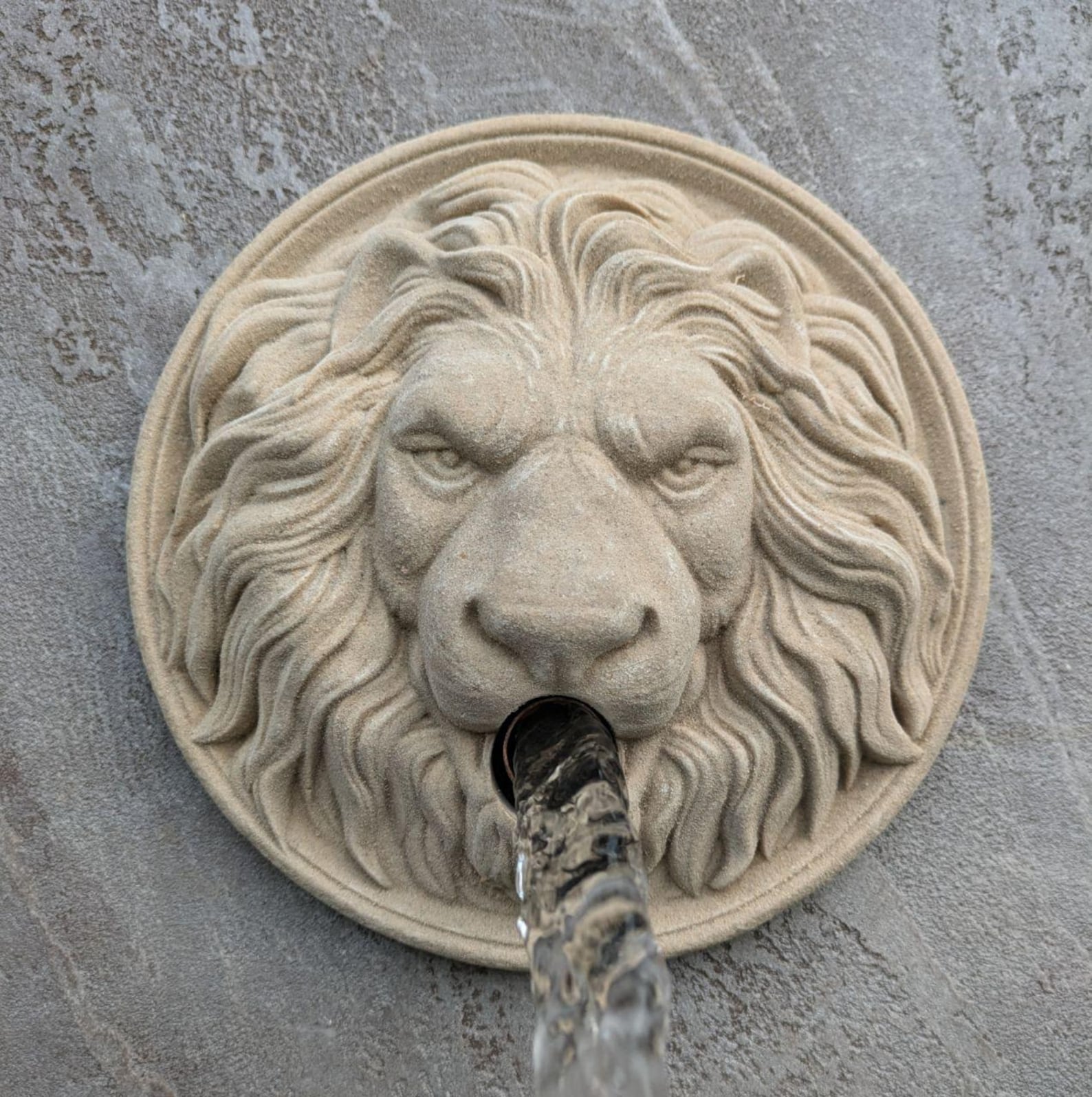 Lion Head Water Spout Water Feature for Pool Lion Head Water Spitter ...