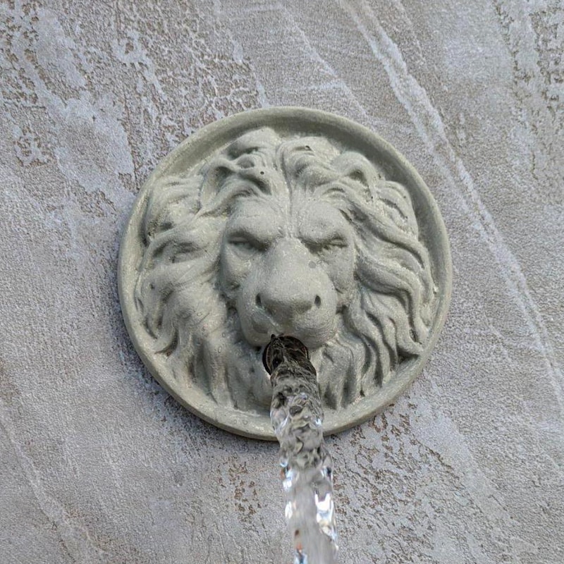 Lion Head Pool - Etsy