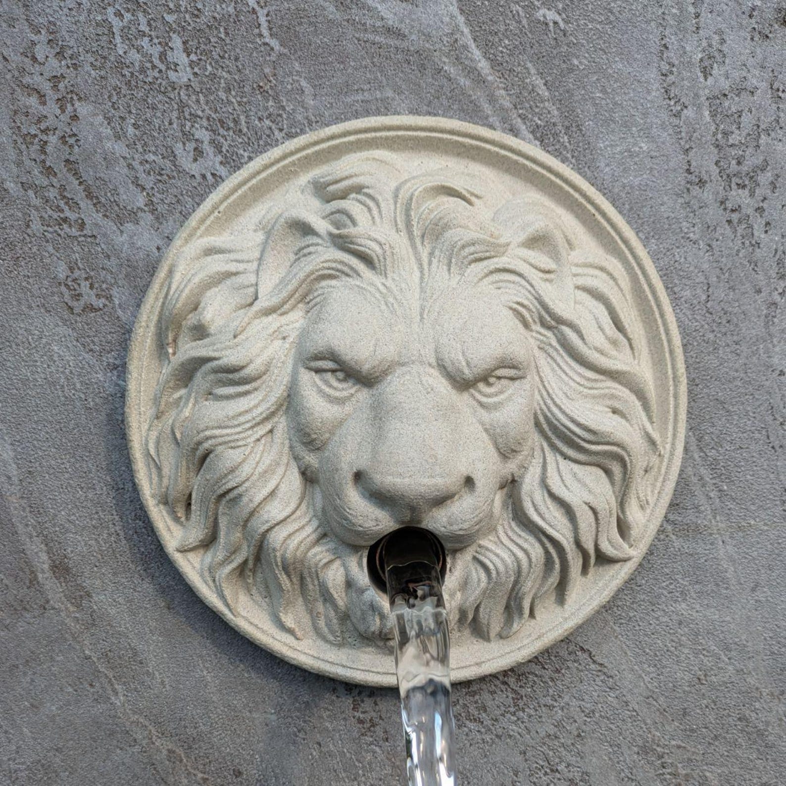 Lion Head Water Spout Water Feature for Pool Lion Head Water Spitter ...