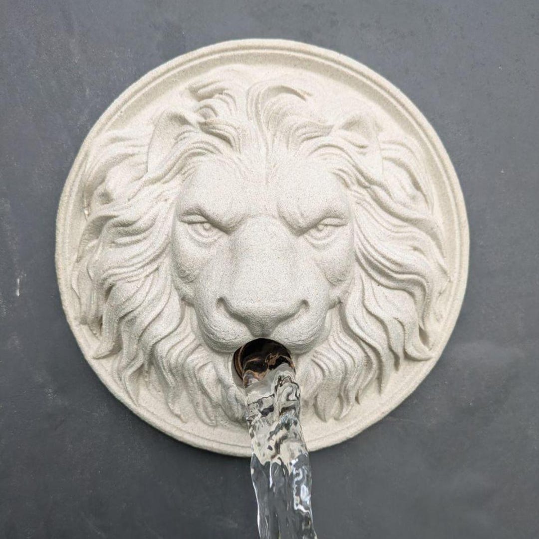 Water Spout Lion Head 8'' Water Feature for Pool Wall Fountain Lion ...