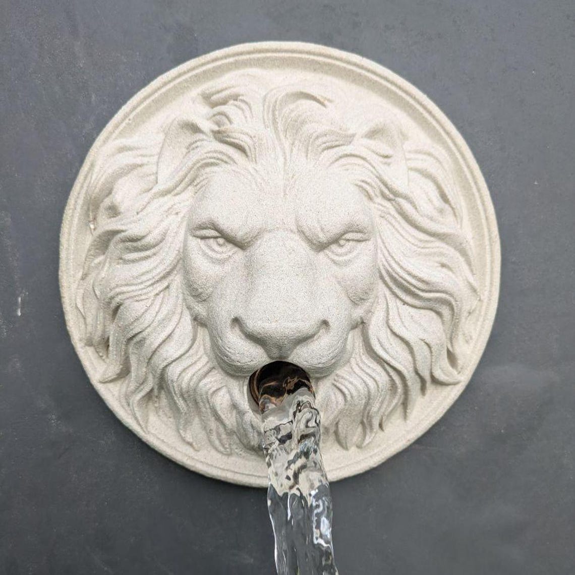 Water Spout Lion Head 8'' Water Feature for Pool Wall Fountain Lion ...