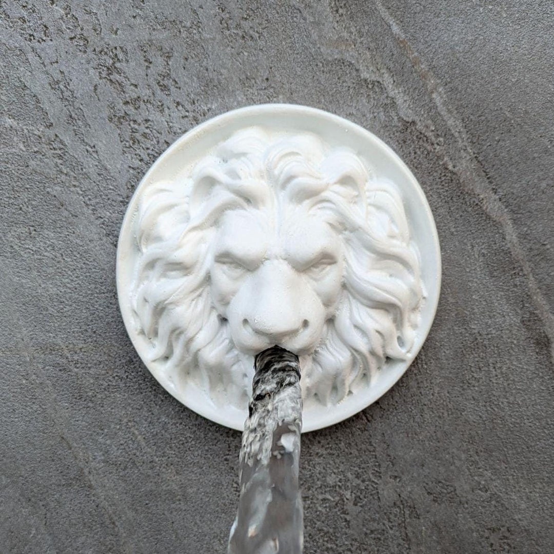 Lion Head Water Spout 6'' Water Feature for Pool Lion Head Water ...