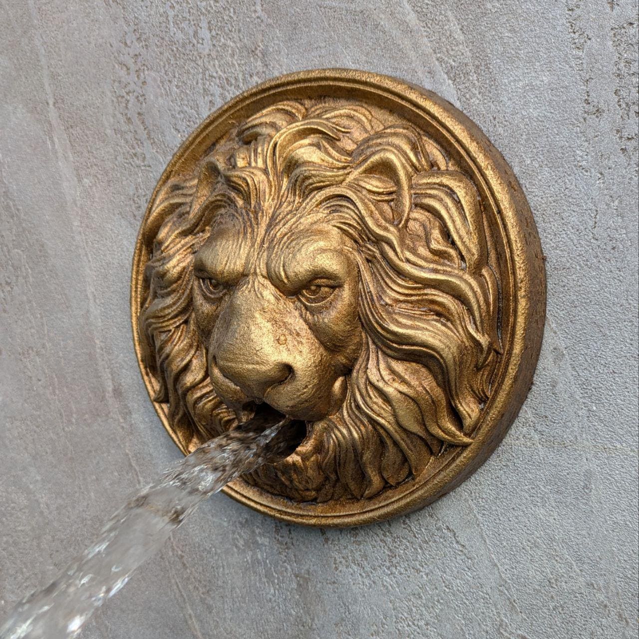Lion Head Water Spout 8 Inch Water Feature for Pool Wall Fountain Lion ...