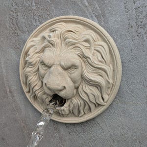 Lion Head Water Spout Water Feature for Pool Lion Head Water Spitter ...