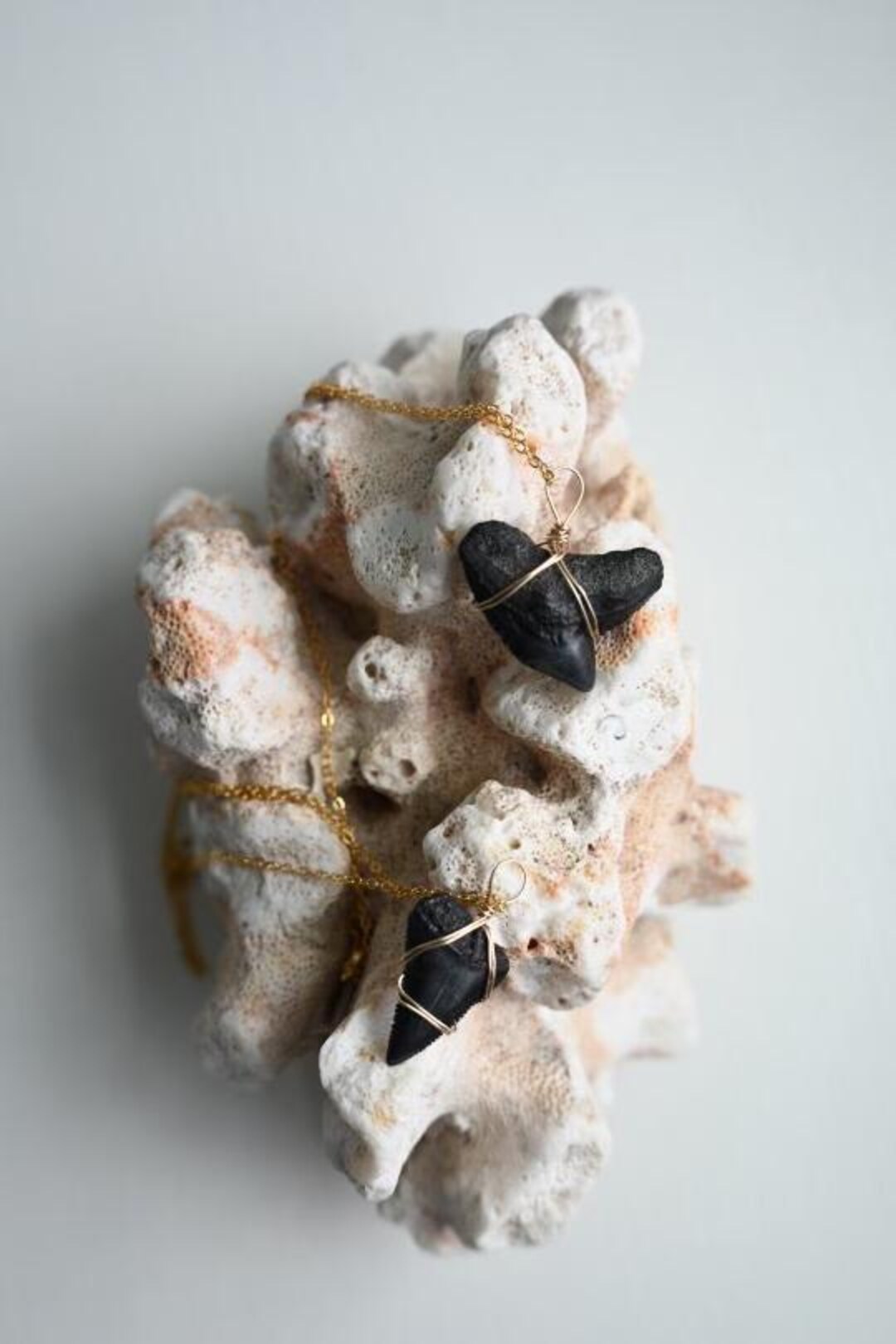 Real Great White Shark Tooth Handmade Necklace Gold Plated 18in Chain ...